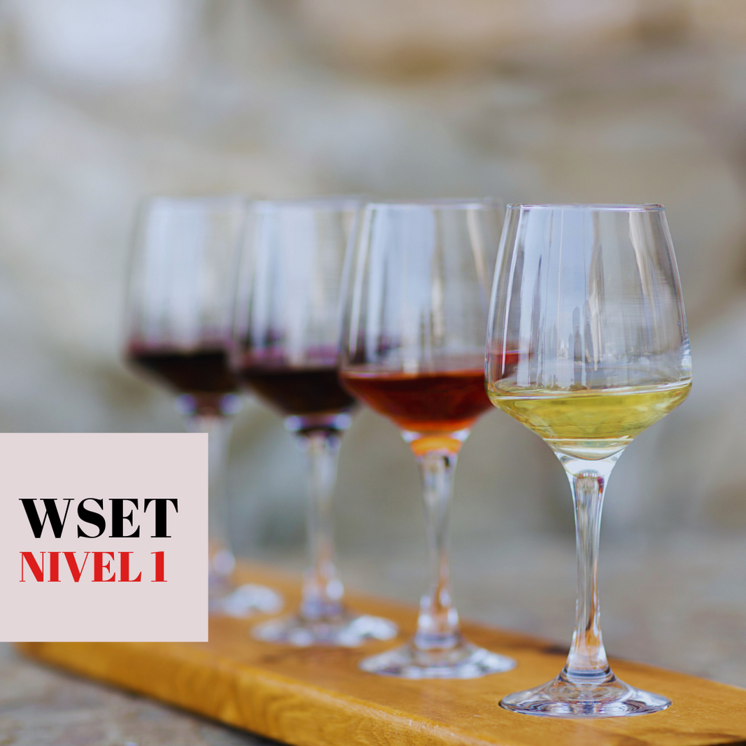 CURSOS WSET, MASTERCLASS Y MÁS – The Wine School