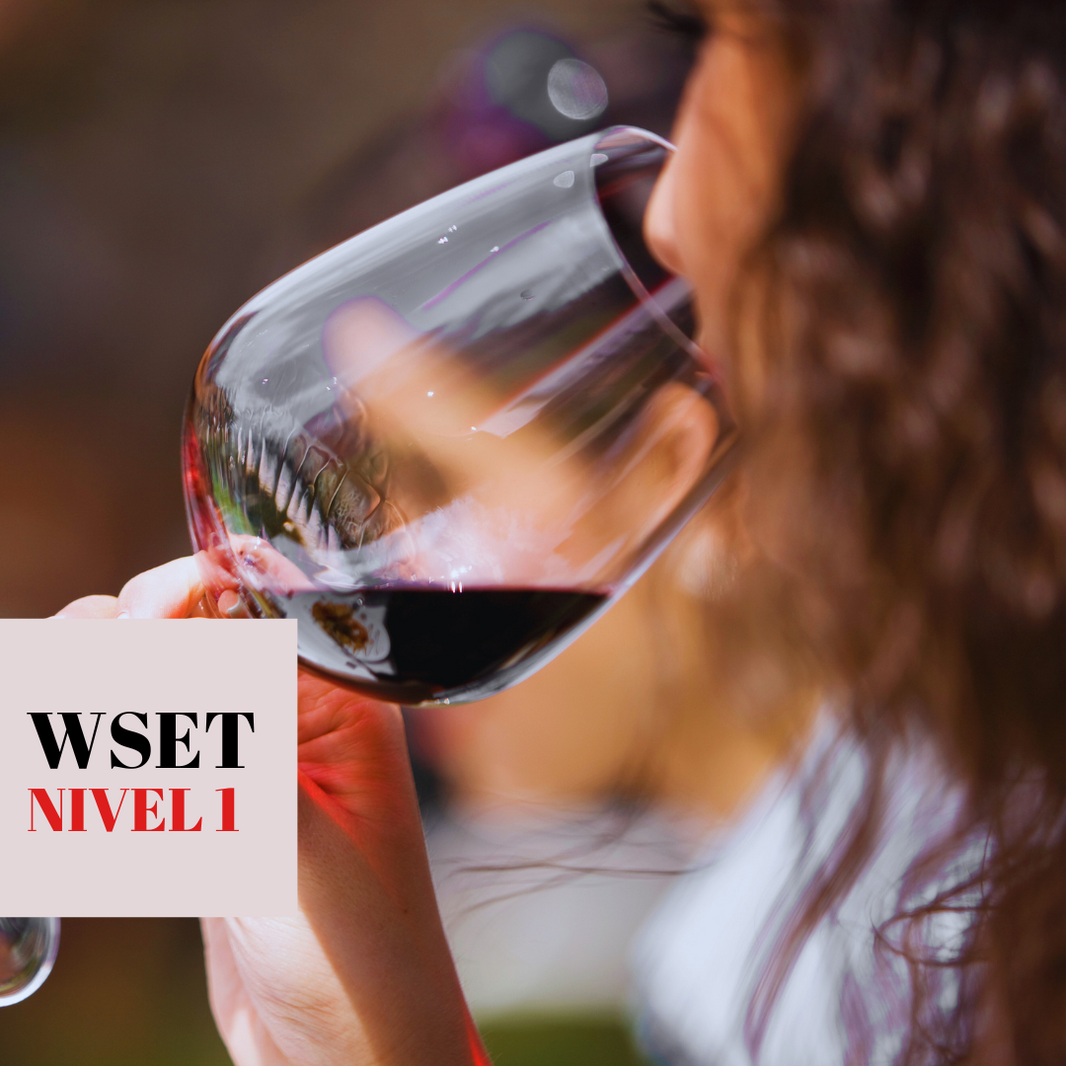 CURSOS WSET, MASTERCLASS Y MÁS – The Wine School